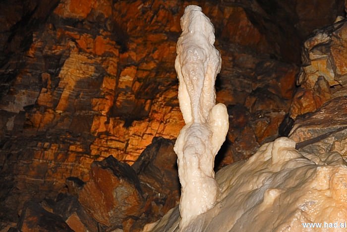 Postojnska jama fotografije - Postojna Cave photos