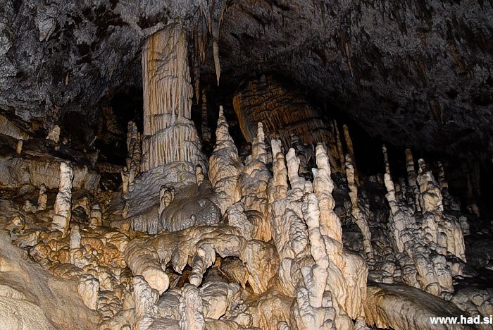 Postojnska jama fotografije - Postojna Cave photos