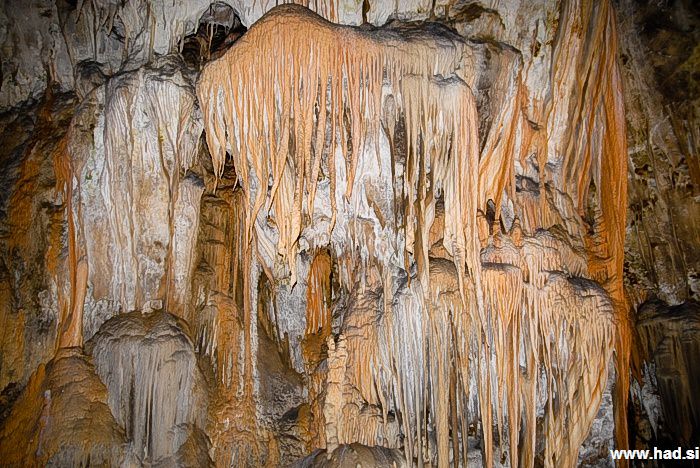 Postojnska jama fotografije - Postojna Cave photos