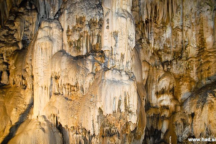 Postojnska jama fotografije - Postojna Cave photos