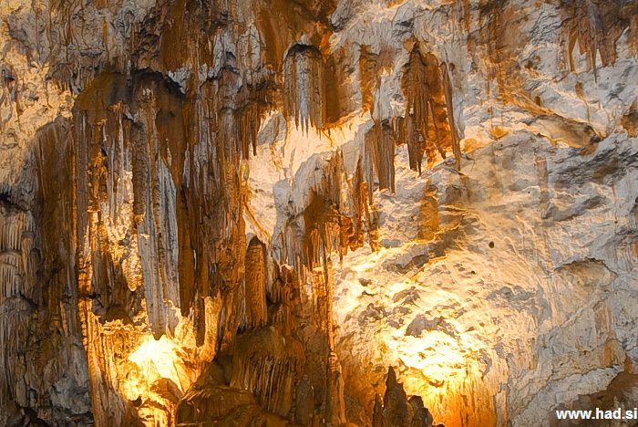 Postojnska jama fotografije - Postojna Cave photos