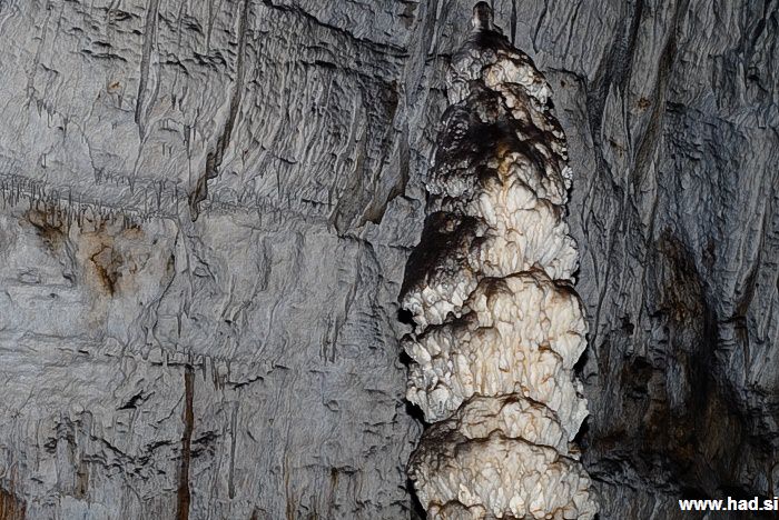 Postojnska jama fotografije - Postojna Cave photos