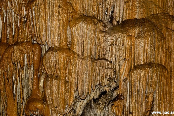 Postojnska jama fotografije - Postojna Cave photos