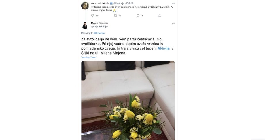 Mojca Škrinjar / SdS / kaj ti bo avtoličar, če imaš cvetličarja
