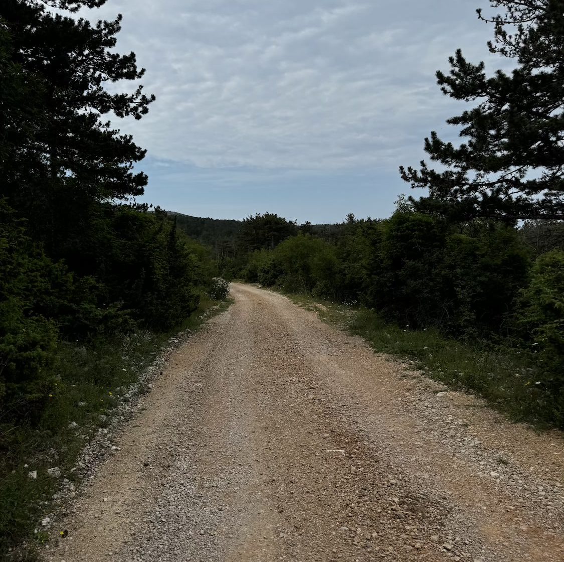 Obzova - najvišji vrh otoka Krk / 568 metrov nad morjem