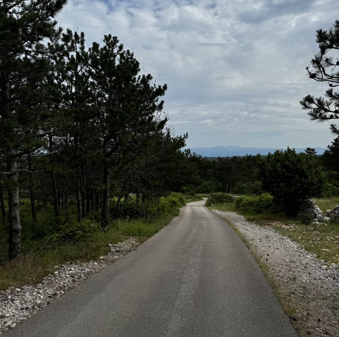 Obzova - najvišji vrh otoka Krk / 568 metrov nad morjem