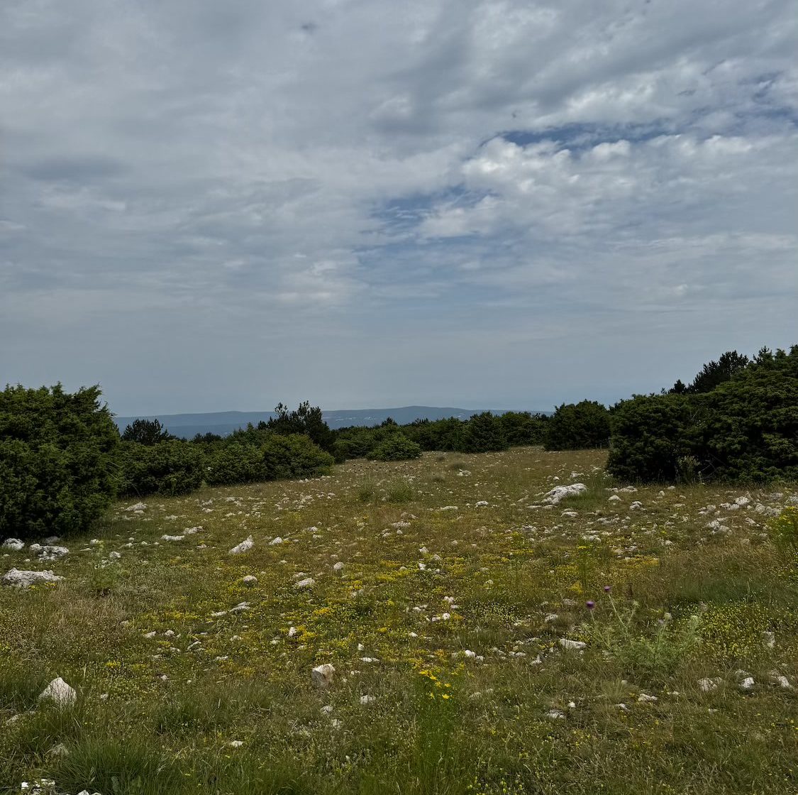 Obzova - najvišji vrh otoka Krk / 568 metrov nad morjem